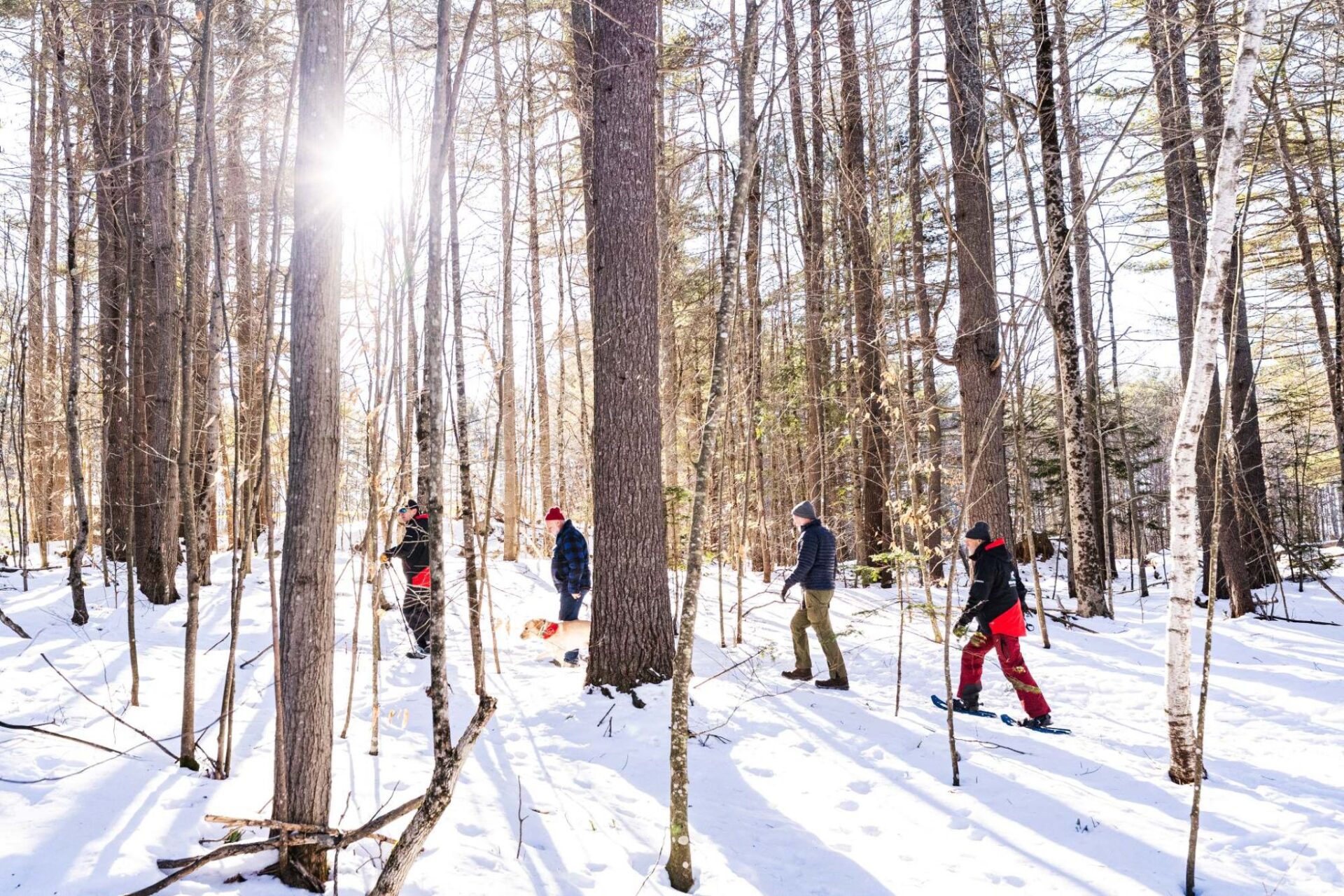 12 Ways to Support Maine Adaptive This Season of Giving - Maine Adaptive